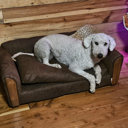 Tucker Murphy Pet™ Katonah VIP Dog Sofa & Reviews | Wayfair